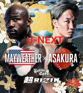 rizin地上波打ち切り理由は？榊原CEOとフジテレビの関係を徹底調査！ | Kens Official Blog カムカム情報サイト